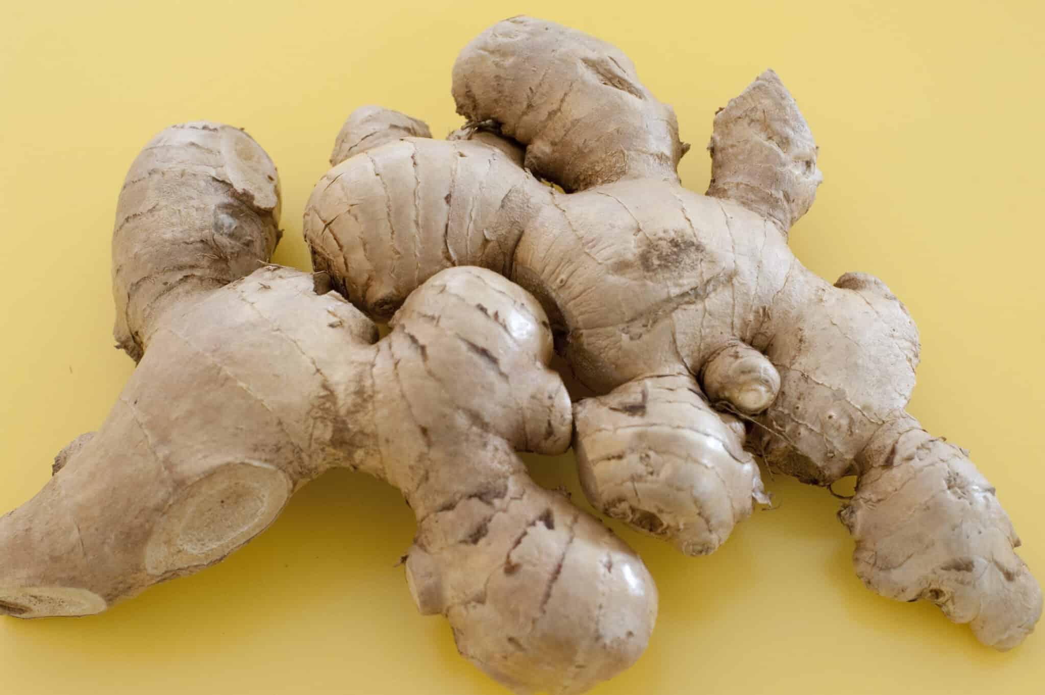 Ginger vs. Ginger Root - Julian Nayuri Ginger vs. Ginger Root - Julian Nayuri